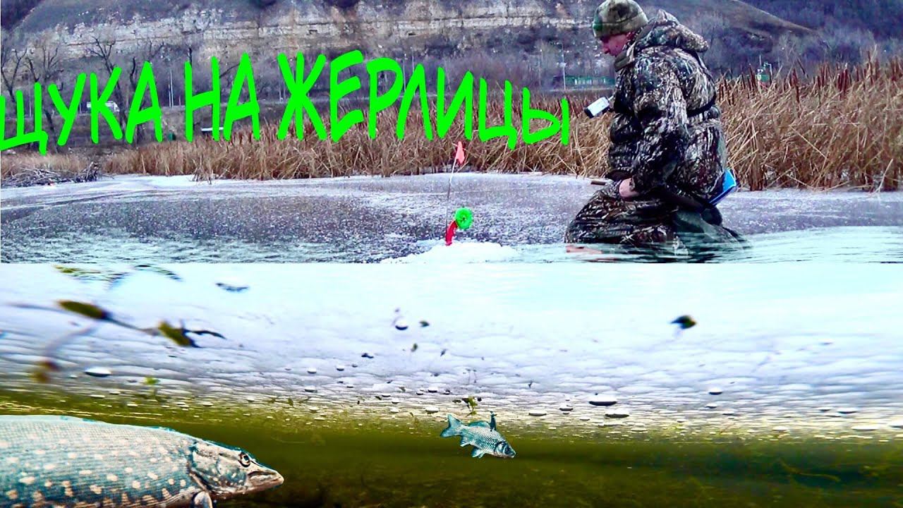 Первый Лёд. Ловля щуки на жерлицы!