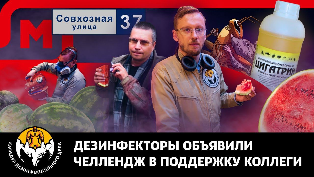Дезинфекторы объявили челендж в поддержку коллеги. Отравление. Арбуз. Магнит. Совхозная