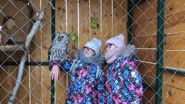 Страус Зоопарк в Кумысном ноябрь 2021