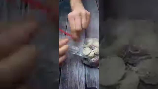 шашлык из куриных сердечек за 100 рублей!!!.