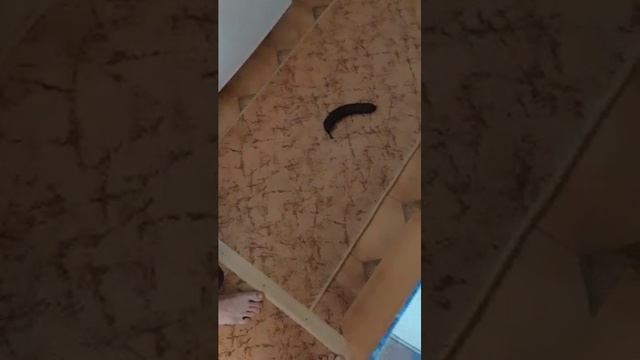 моё первое видео