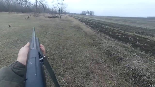 Охота с Бретоном по зайцу.mp4