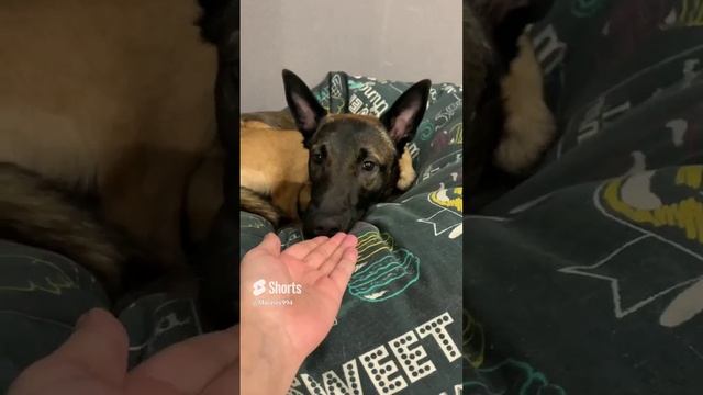 Я устал! Малыш будет спать!