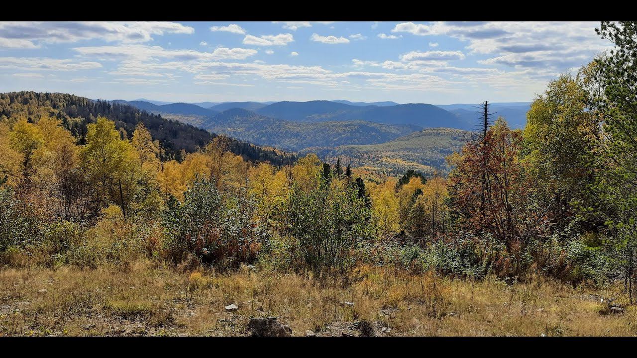 Сибирь осенняя: Таскыл, Шестаково, маралы, Кия