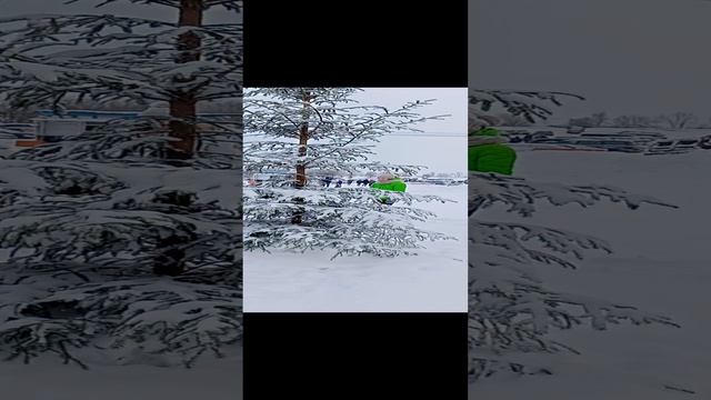 экскурсия танки и техника ВОВ . ПАРК СТАЛЬНОЙ ДЕСАНТ КРАСНОЕ СЕЛО СПБ ПИТЕР САНКТ-ПЕТЕРБУРГ ЗИМА