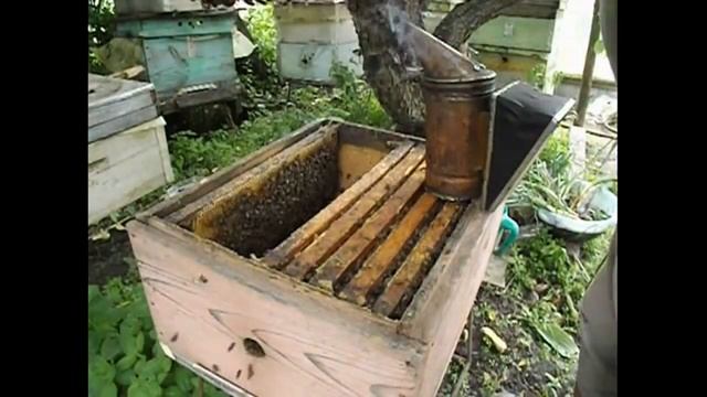 работы на пасеке в июне - как уберечь пчел от роения - часть 2  ( расширяю отводок )