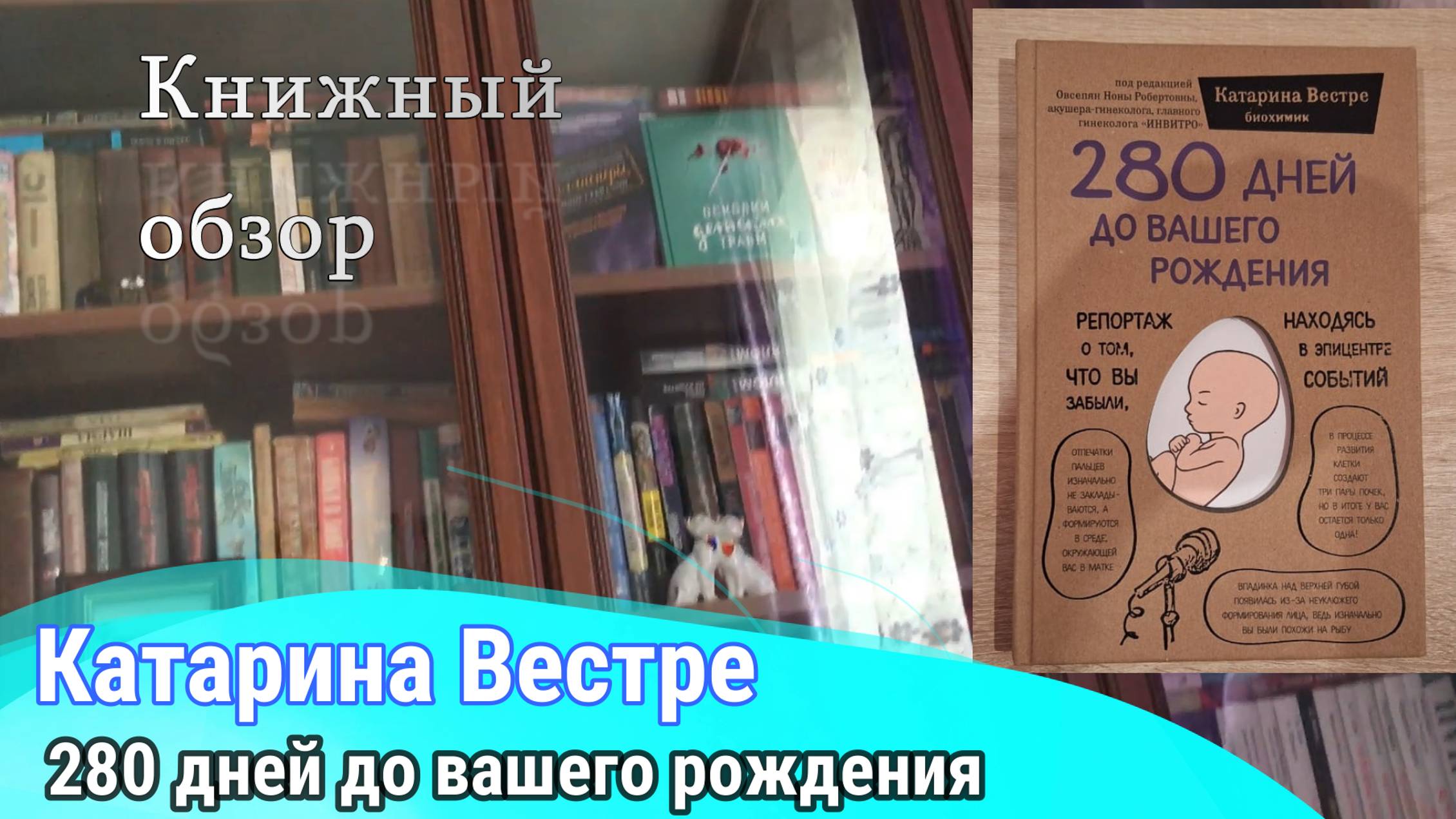 Катарина Вестре "280 дней до вашего рождения" | Обзор перинатального психолога