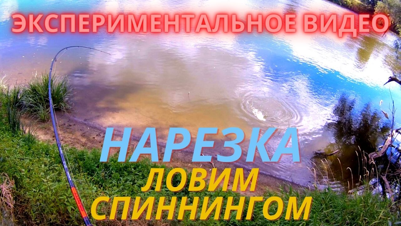 Рыболовная нарезка поимок на спиннинг, ловля спиннингом на Днепре.