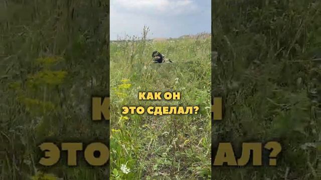 #сво #маскировка #война #маскировочныесети