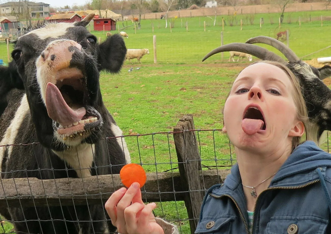 ЛУЧШИЕ ПРИКОЛЫ 2022! ЛУЧШАЯ ПОДБОРКА СМЕШНЫХ ВИДЕО!