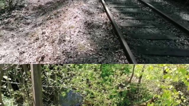 Копаем с Металлоискателем 8 Серия