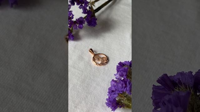 Кулоны  знаки зодиака Козерог (КЛ063)