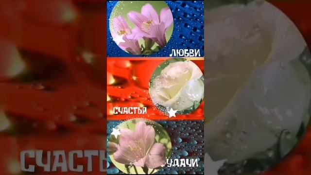 Удачи, счастья, любви