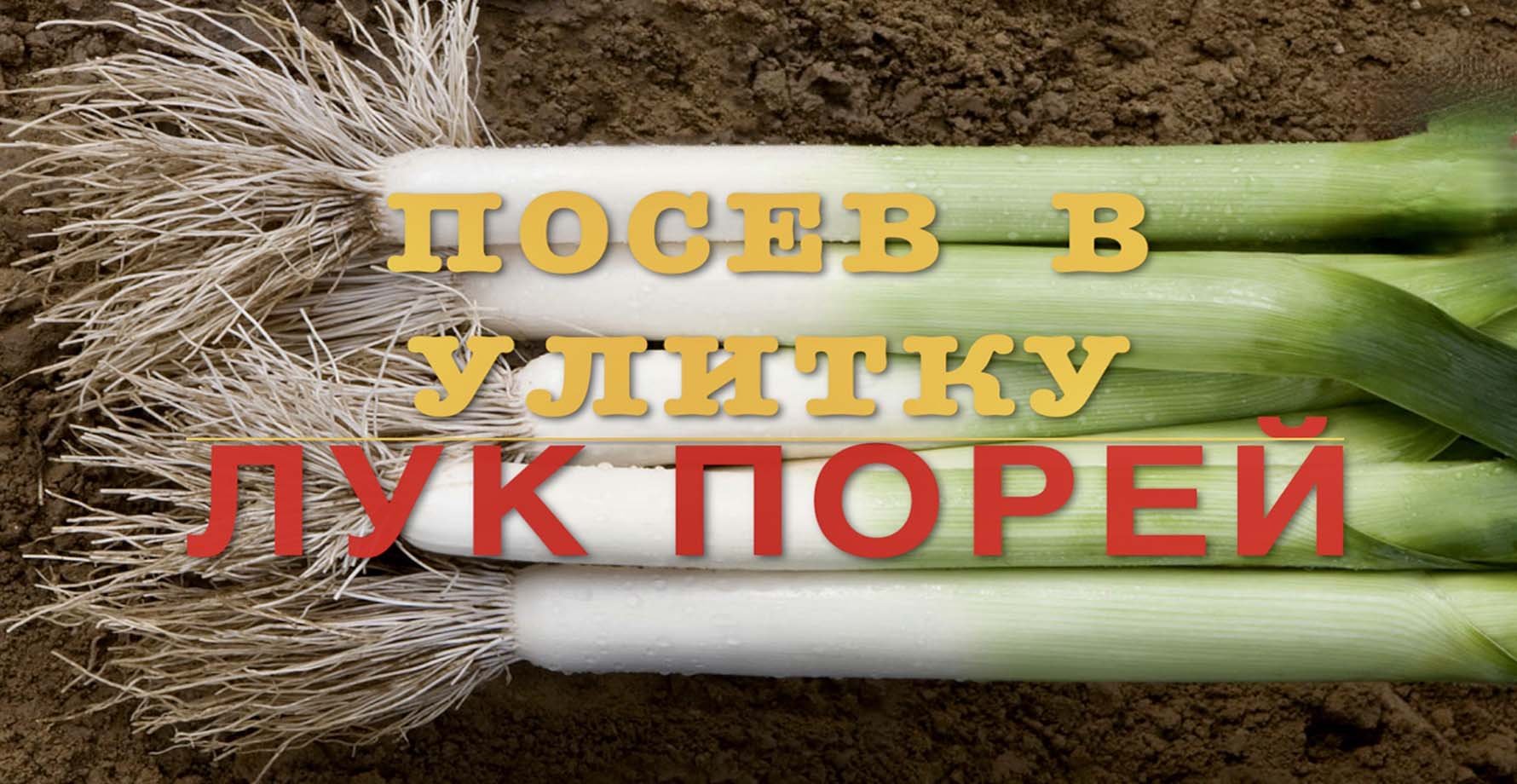 Сеем в УЛИТКУ лук ПОРЕЙ - ЛУЧШИЙ способ / Фильм 1