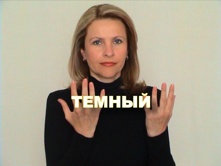 ЖЕСТОВЫЙ ЯЗЫК. СЛОВАРЬ. Темный