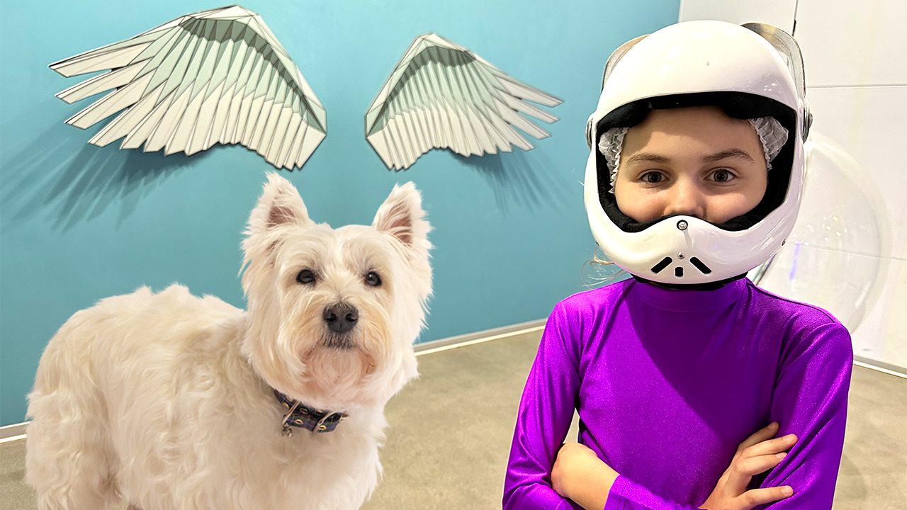 Кувырки и Собака ? Аэротруба Вакуум