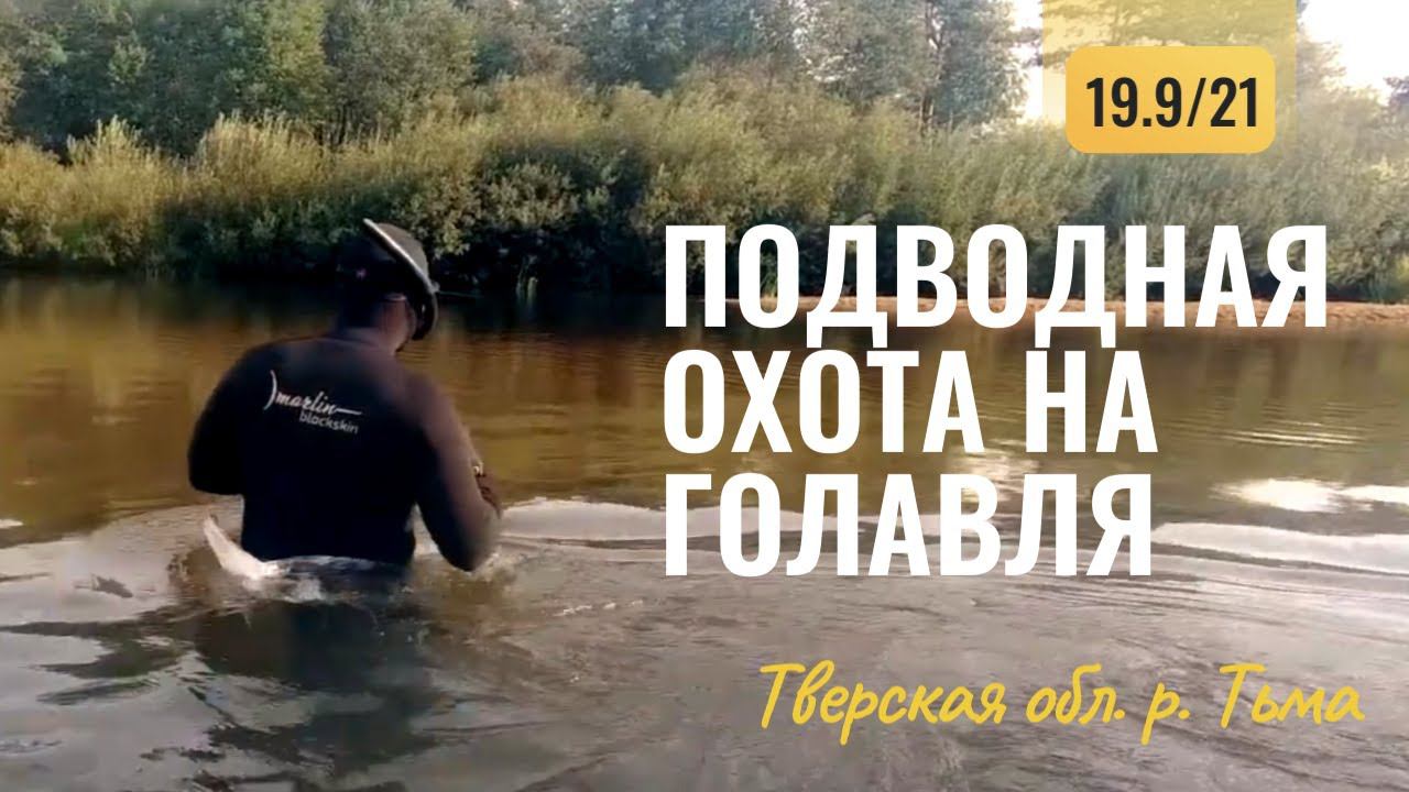Зачетный голавль на 1 килограмм. Подводная охота на голавля на реке