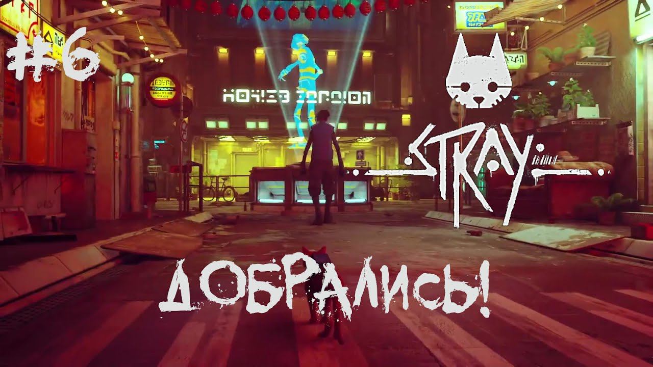 Stray  #6 ДОБРАЛИСЬ!