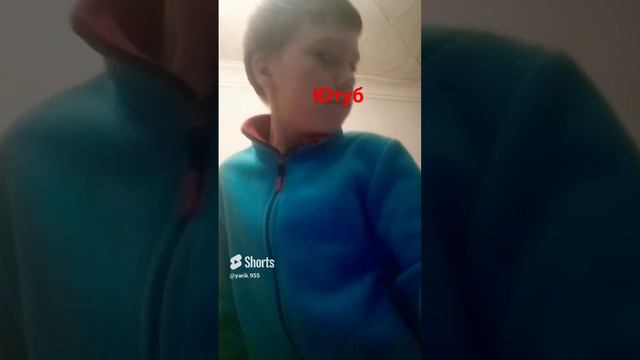 #мем #смешарики #youtubeshorts блокировка Ютуб впн!.mp4