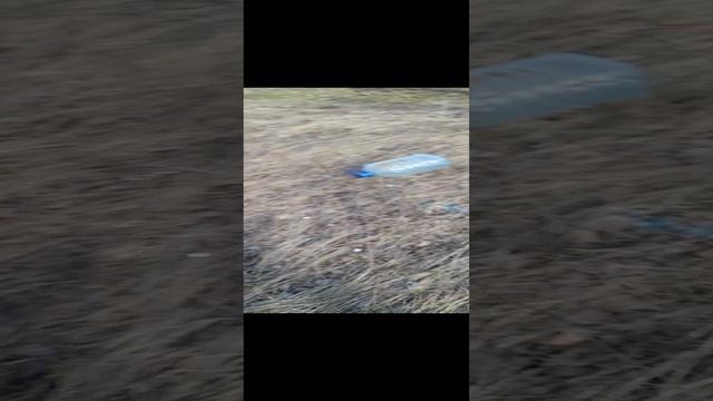 добываем берёзовый сок