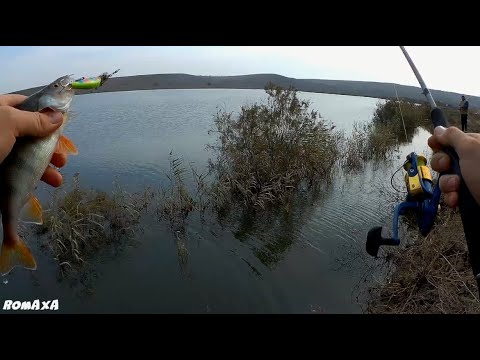 6 кг. за два часа. Ловля крупного окуня в ноябре. Ловля окуня на спининг. День второй.