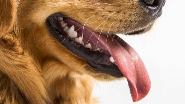 Юморной стишок - Жара 🔥 (осторожно ненормативная лексика)