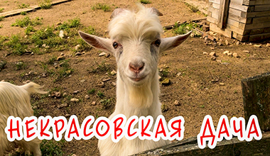 Отдых в России. Ярославль. Где отдохнуть? "Некрасовская дача " Where to rest?