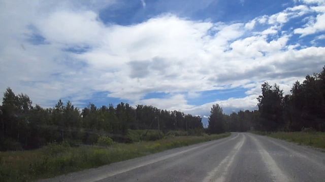 Голубое небо на фоне леса.mp4