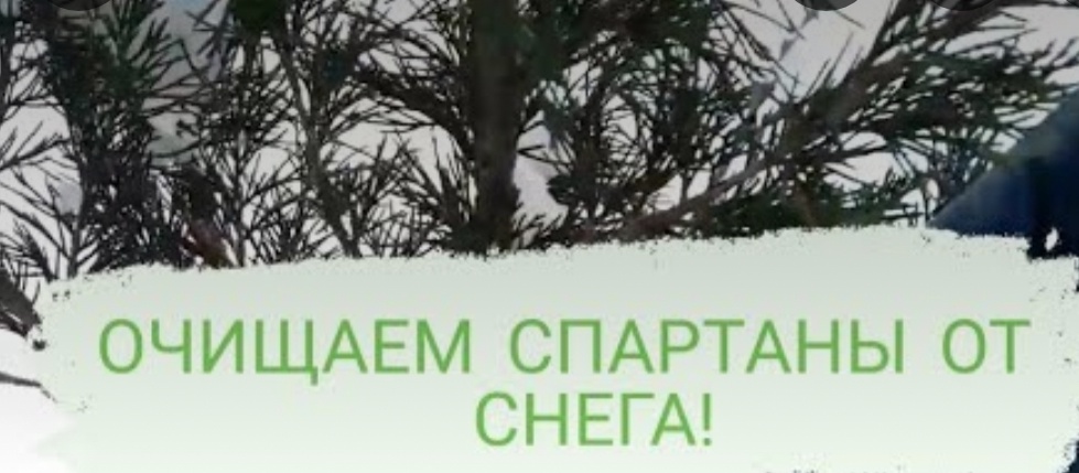 ОЧИЩАЕМ СПАРТАНЫ ОТ СНЕГА!❄ ЛУЧШАЯ ИГРА ДЛЯ ДЕТЕЙ- ЭТО ПОМОГАТЬ РОДИТЕЛЯМ!
