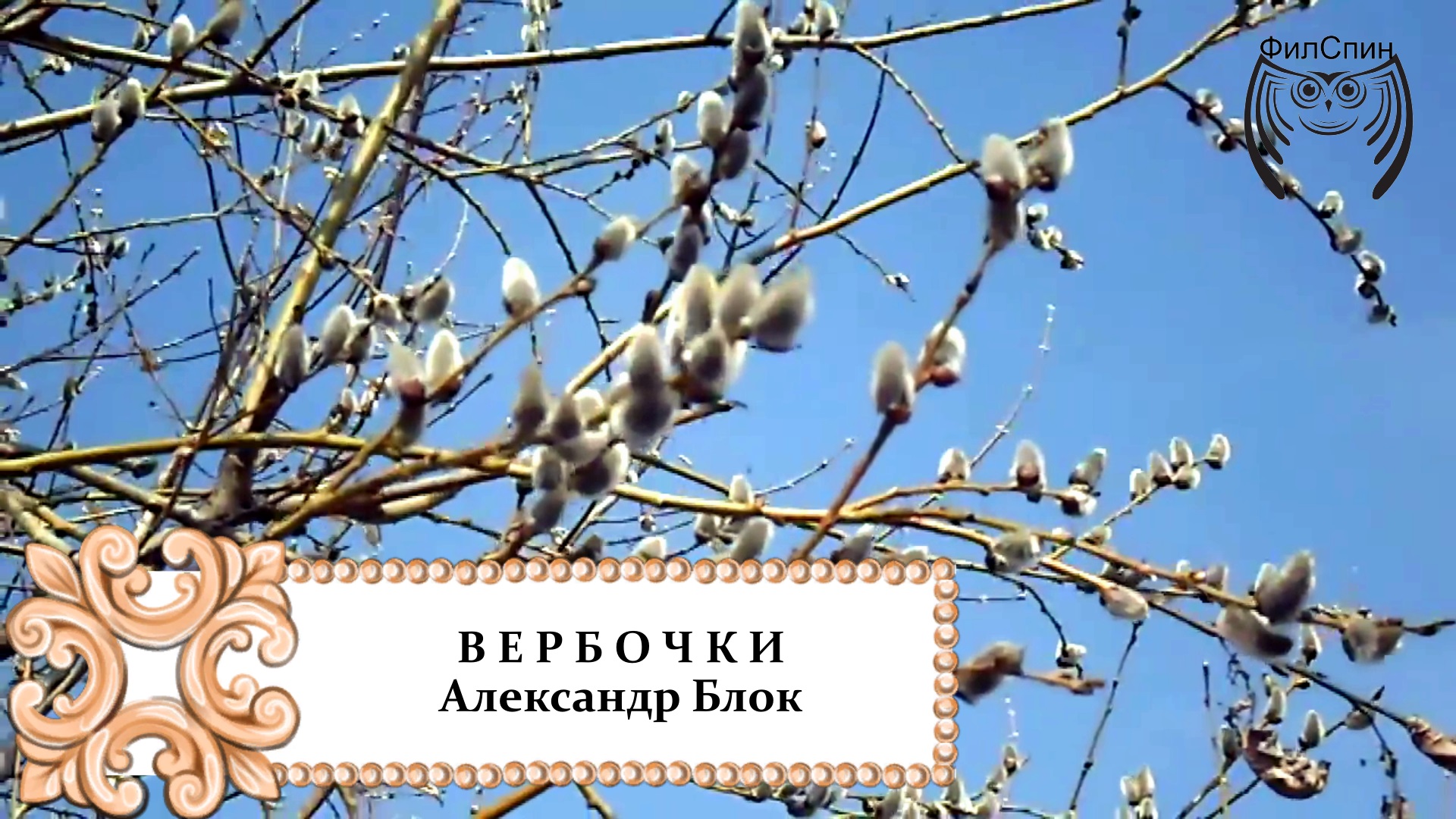 Вербочки. А.Блок (читает А.Сипкина)