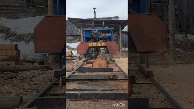пилорама "кедр"