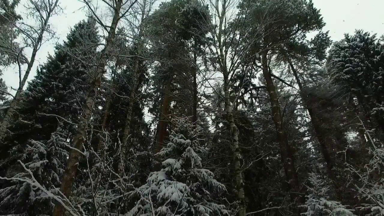 Раифа. Путь к монастырю