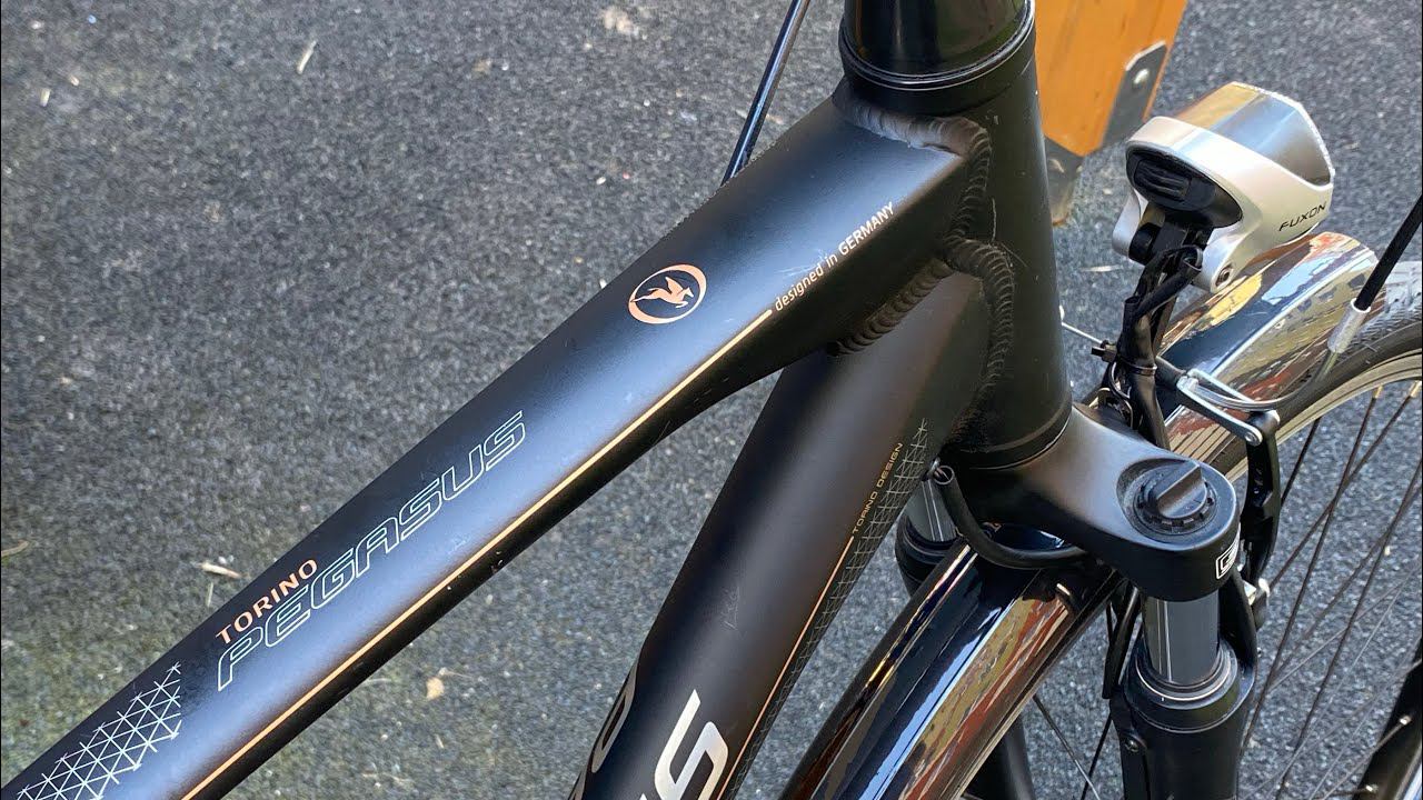 Pegasus Torino Shimano Nexus 7