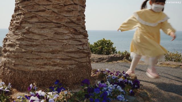 Хáми Мама. Желтый цветочный сад в Чеджу.(качество видео Best Available)(ДЛЯ ВСЕХ РЕКОМЕНДУЮ)
