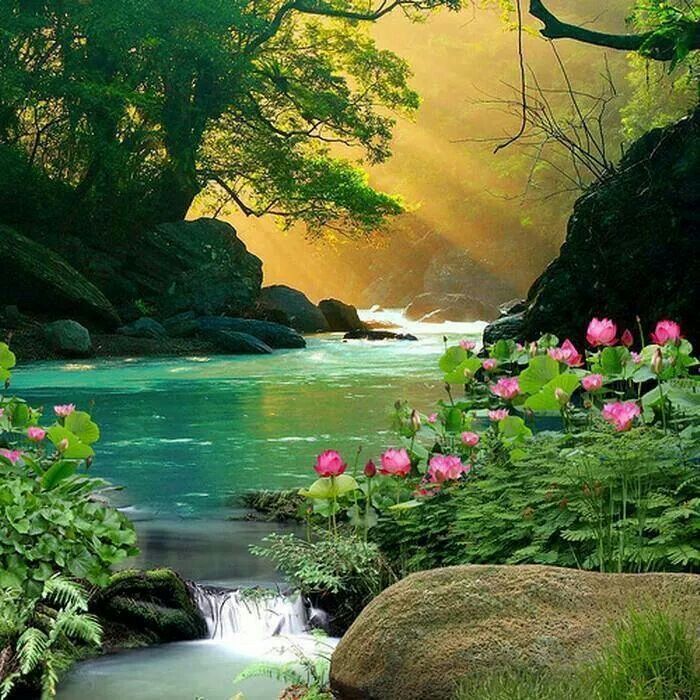 Рассветы и закаты-стихи-Юрий Фенько,музыка и вокал-Сергей Гелик,монтаж-Валентина Зубкова.mp4-