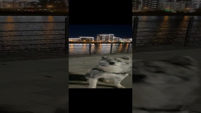 Красивый вечер