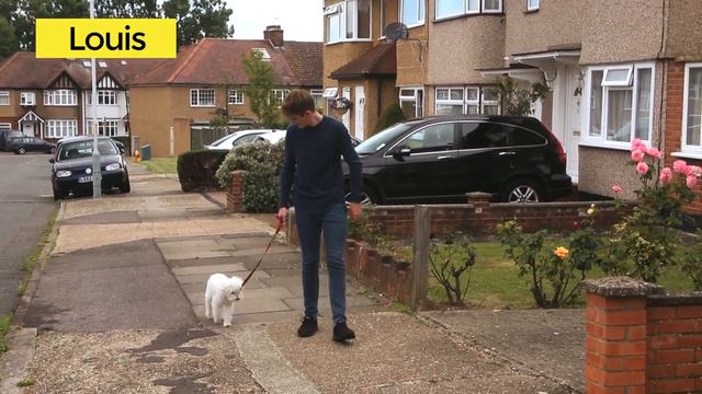 B1 UNIT 1 Life skills video