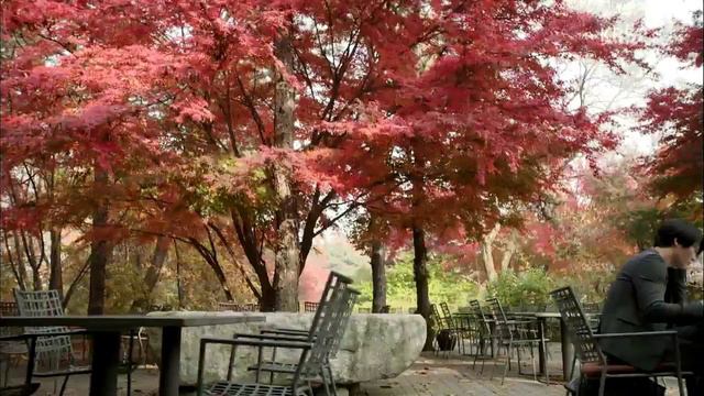 Нэиль Кантабиле 1 сезон 10 серия