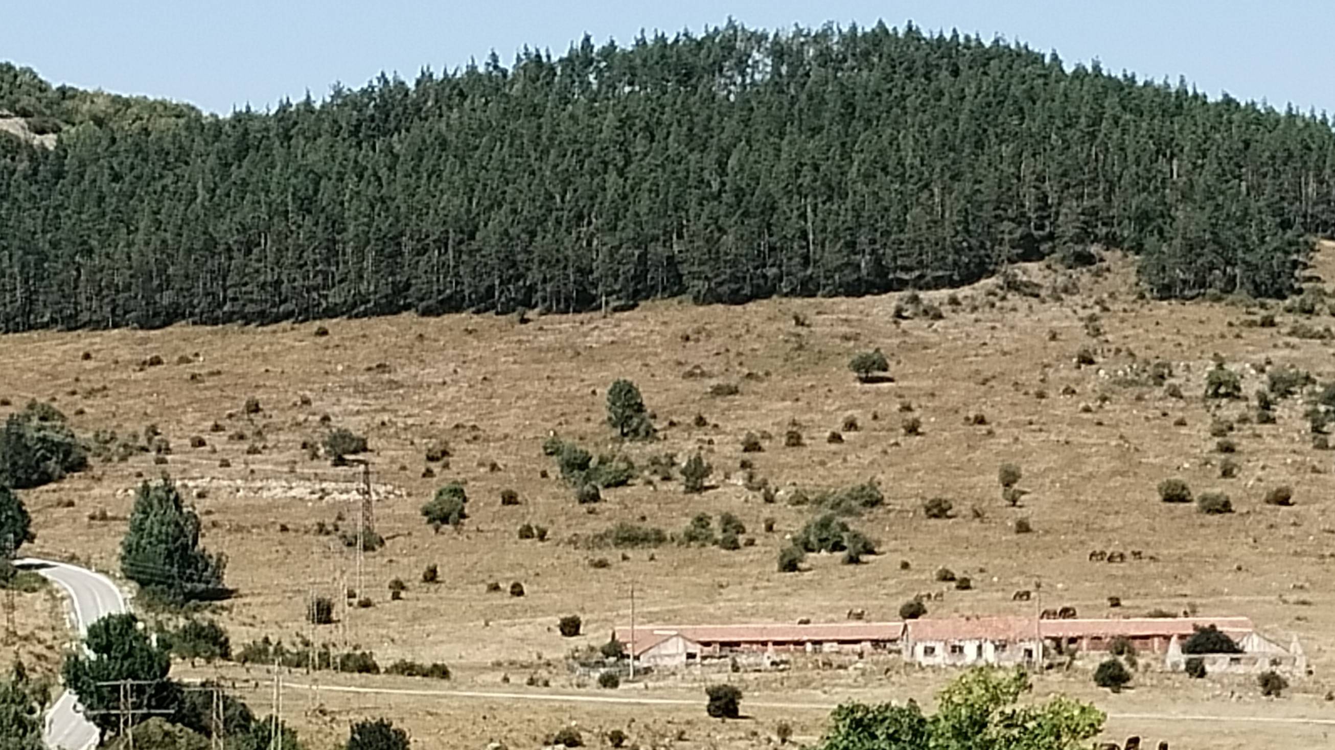 ИЗ ПЛЕВЕНСКА ОБЛАСТ /част 37/ Червен бряг - Плевен