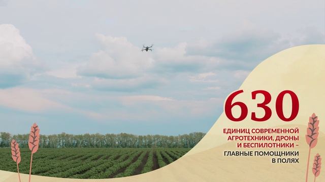 Посевная 2023