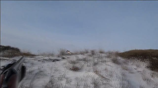 ( 18+)лучшие моменты  охотничьего сезона 2018 2019 (бакс продакшн и гоп компания).mp4