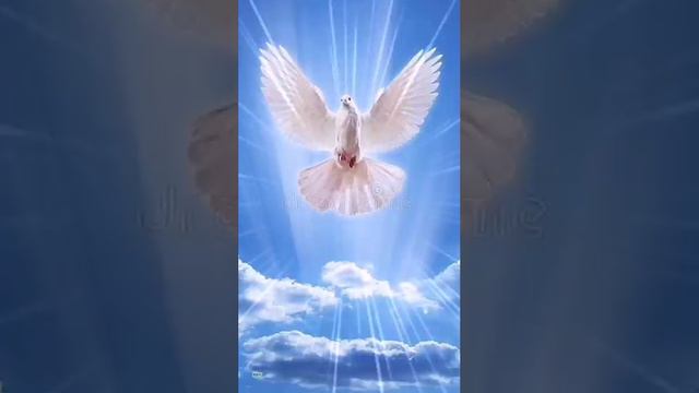 С БЛАГОВЕЩЕНИЕМ!