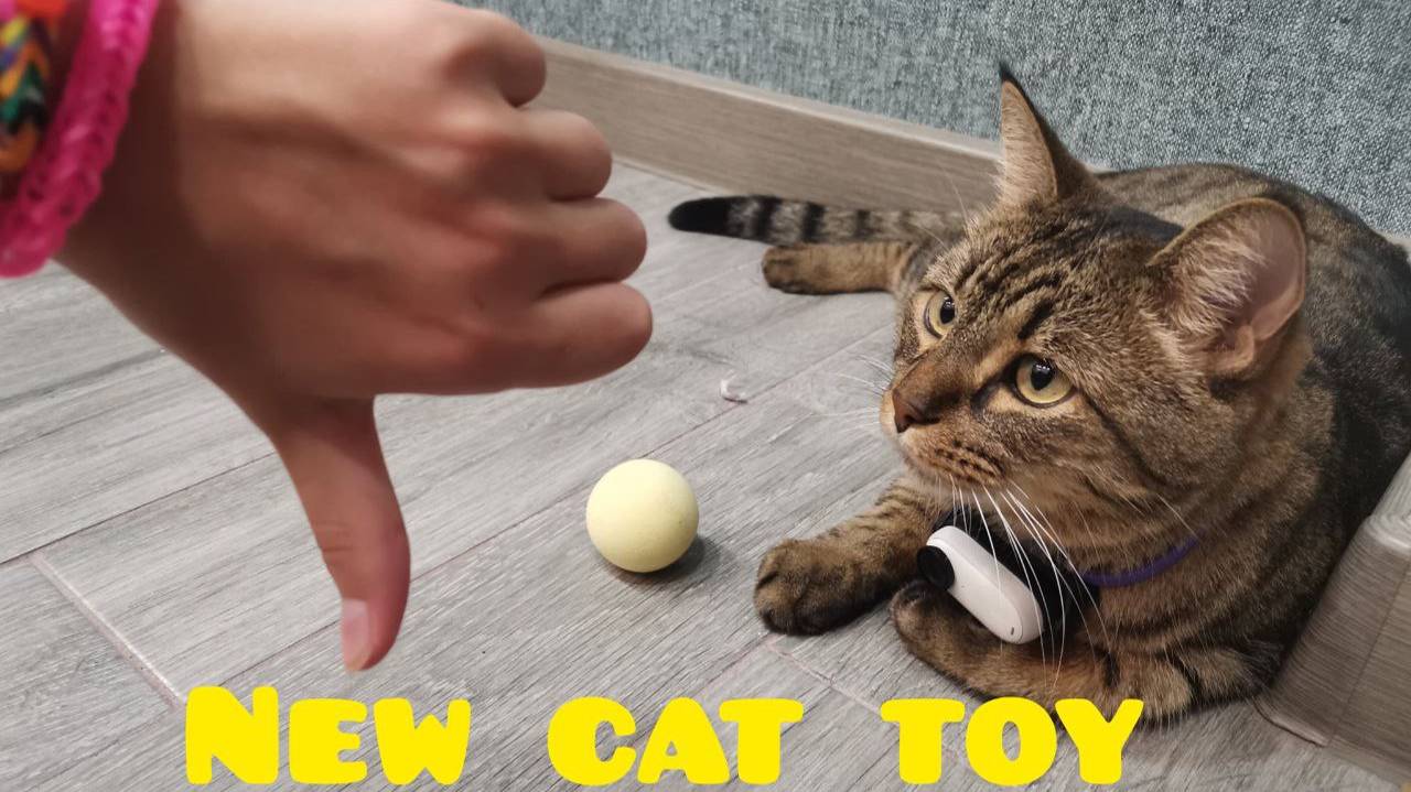 Распаковка новой игрушки для кота