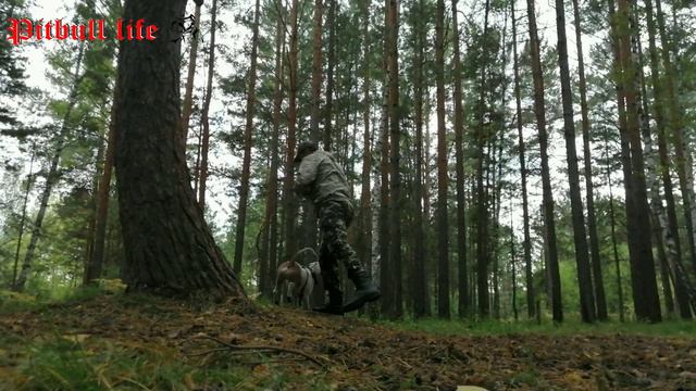 Рождение ямакаси ёптыть!