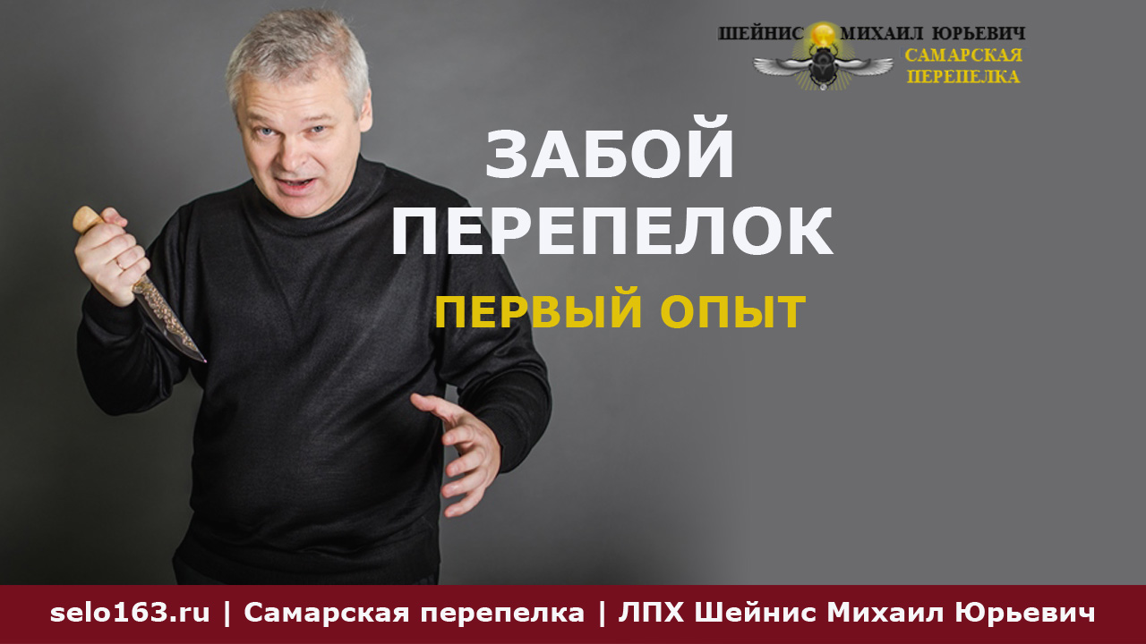 Забой перепелок. Первый опыт