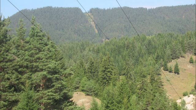 ПЪТУВАНЕ ИЗ ЗАПАДНИТЕ РОДОПИ /част 19/. БОРИНО