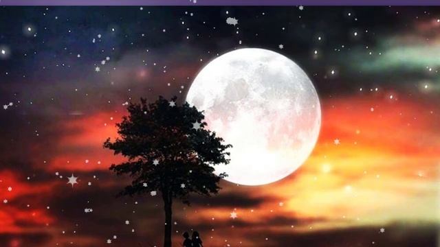 Ритуал в полнолуние поможет избавиться от негатива.