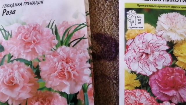 семена на 2023 год