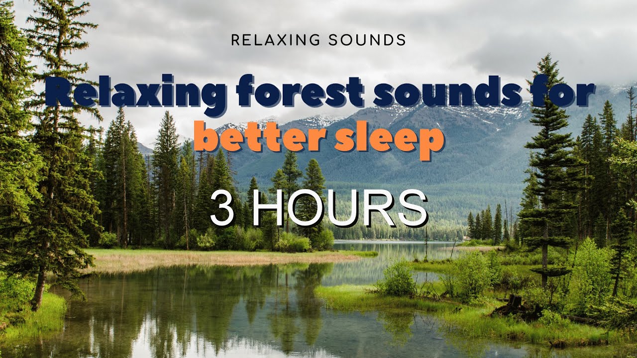 Relaxing Sounds - Расслабляющие лесные звуки для хорошего сна #1