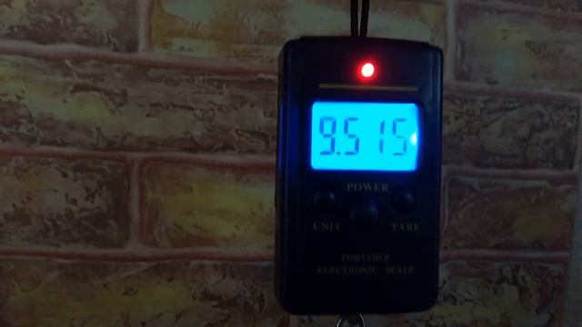 Итоги разведения бройлеров. Стройка под угрозой!.mp4